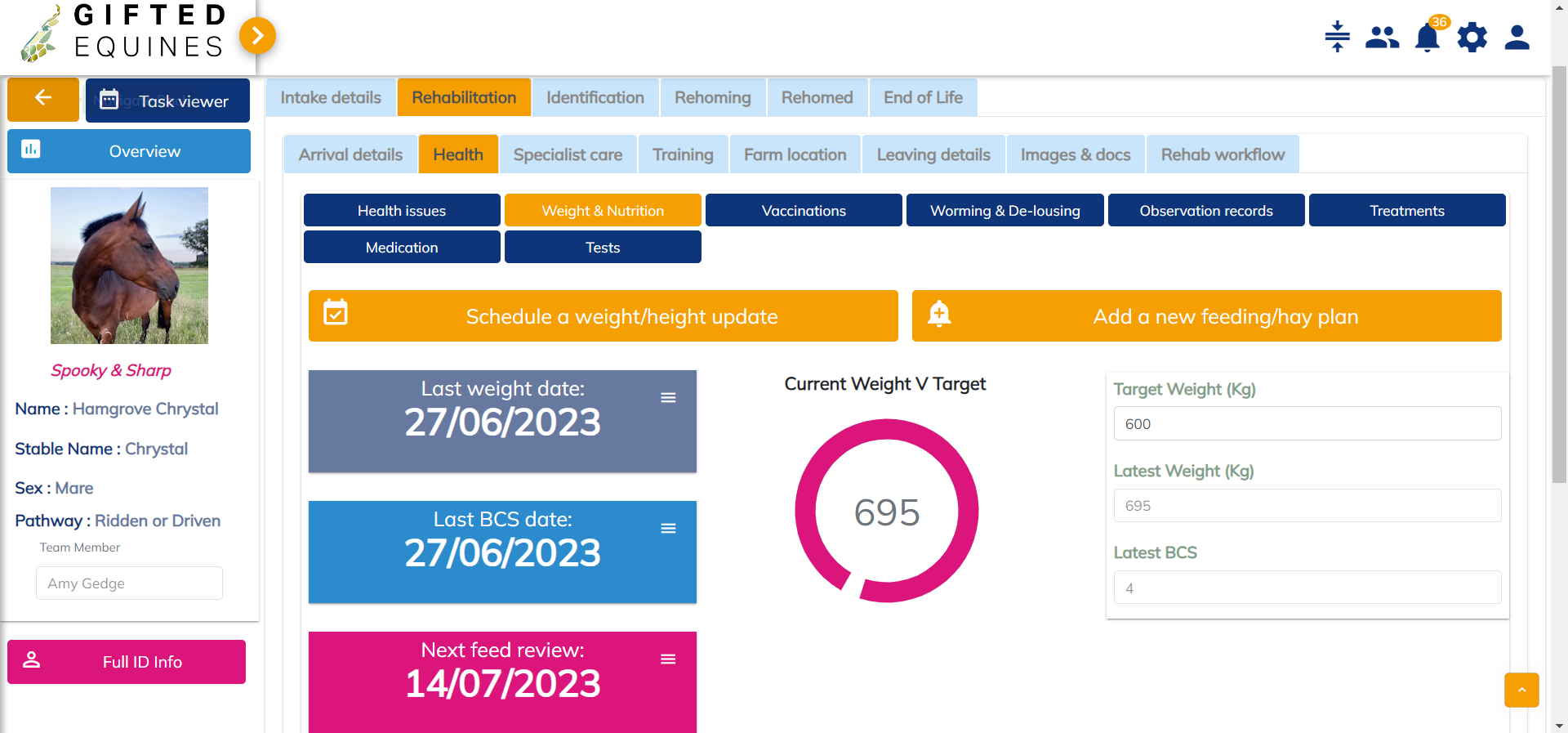 The Care Pathway | Gifted Equines